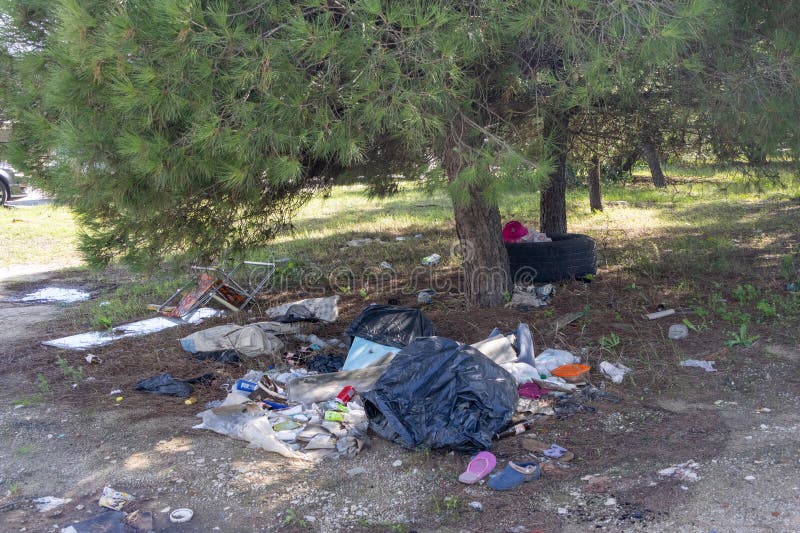 Garbage Dumped Under Pine Trees Creating Environmental Pollution Editorial Photo - Image of ...