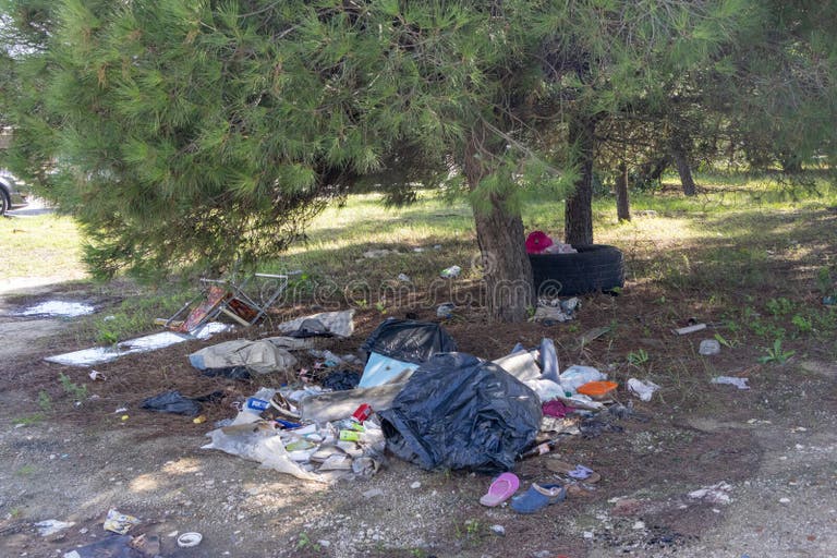 Garbage Dumped Under Pine Trees Creating Environmental Pollution ...