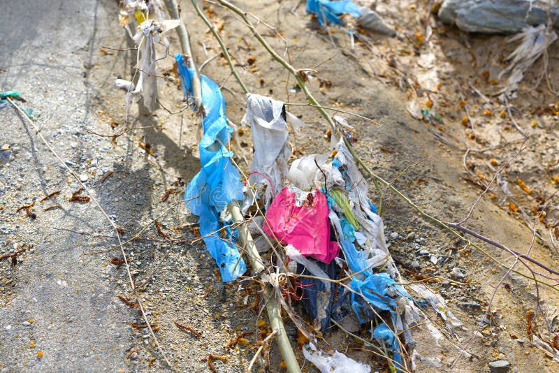 Garbage In A Stream:recycle:pollution Stock Image - Image of litter ...