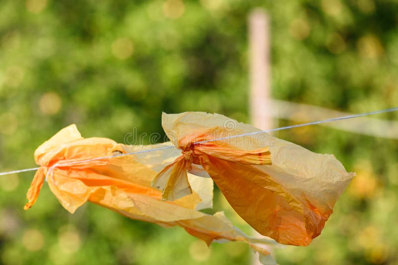 Plastic Bags Hanged on String Stock Photo - Image of weather, sorting ...