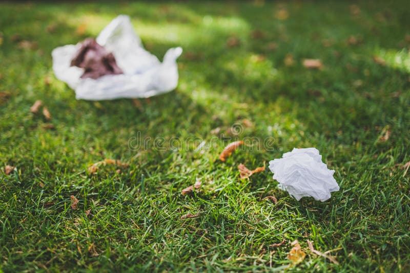 Plastic Bags and Litter Abandoned on Green Lawn, Respecting the ...