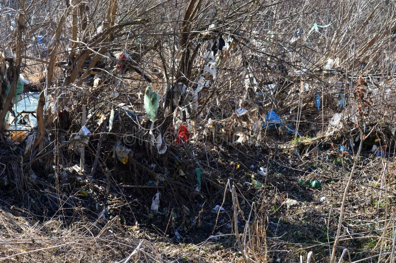 Plastic Bags and Waste on Tree Branches Stock Image - Image of trees ...