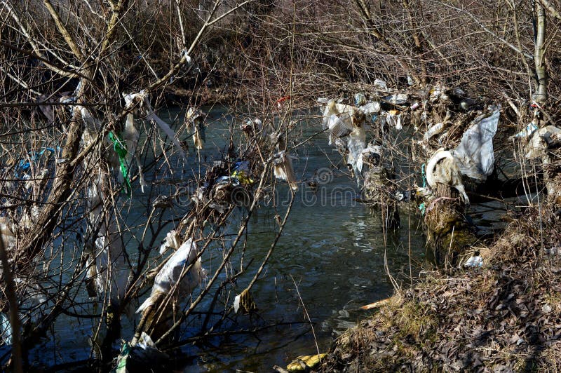 Plastic Bags and Waste on Tree Branches Stock Image - Image of branches ...