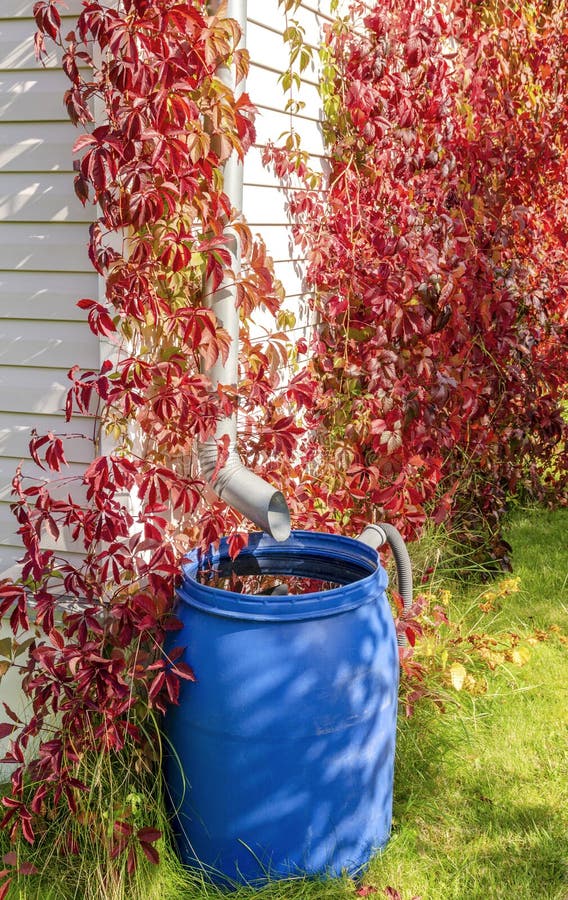 Drain for rainwater stock image. Image of nature, life - 60626951