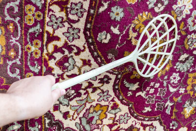 Plastic Beater Knocks Dust Out Old Purple Carpet Stock Image - Image of ...
