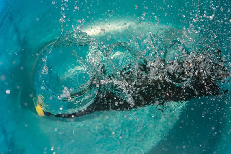 Plastic Bottle Falling into the Water Making Splashes and Spraying ...