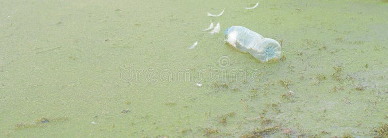 A Plastic Bottle Floats in the Mud, Close Up .Plastic Pollution of the ...
