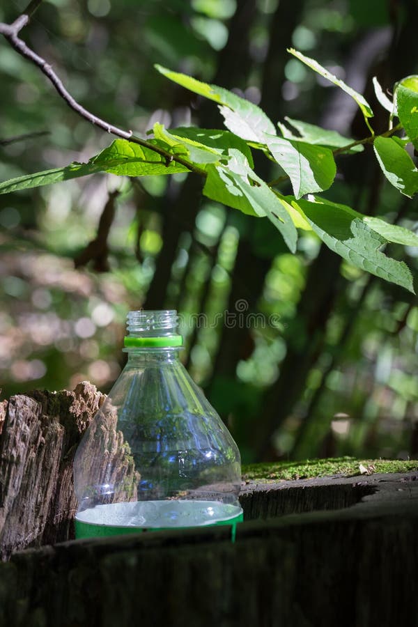 Plastic Bottle in the Forest Stock Image - Image of environmental ...