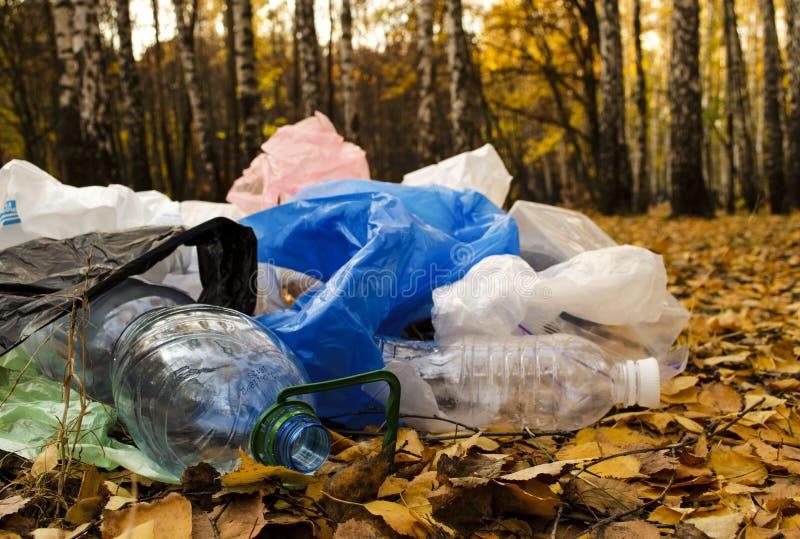 Plastic Bottle, Fork, Polyethylene Waste in the Forest. Plastic ...
