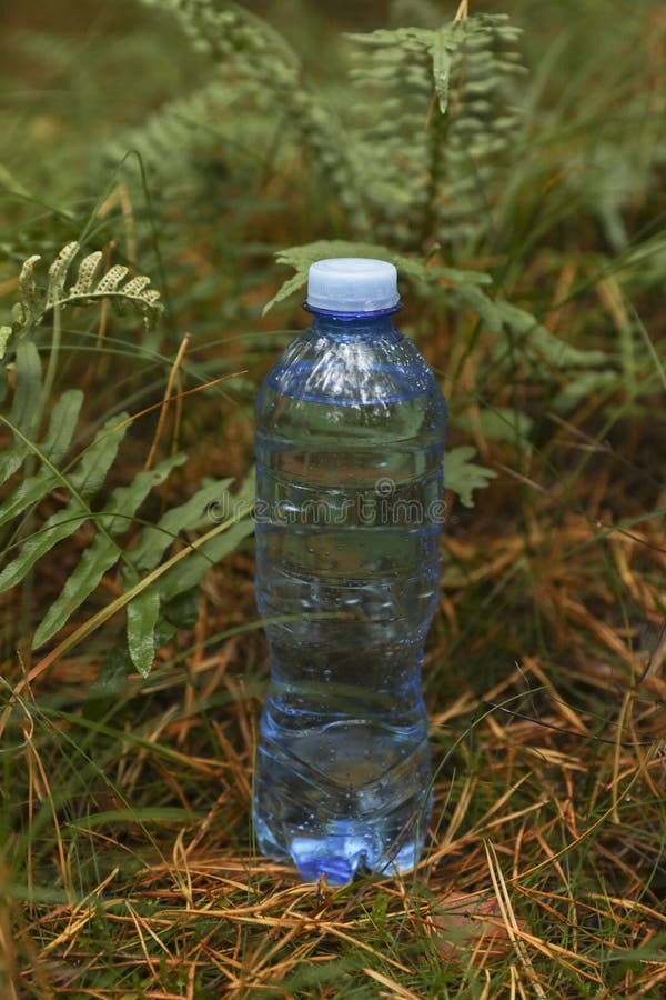 Plastic Bottle of Fresh Water on Ground in Forest Stock Photo - Image ...