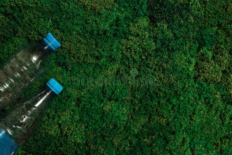 Plastic Bottle Lie on Grass Moss, Place for Text Stock Image - Image of ...