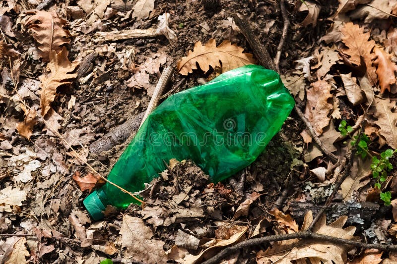 Plastic bottle in nature stock image. Image of background - 313294313