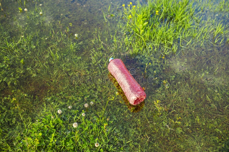 Plastic Bottle Pet in the Water. Nature Pollution Stock Image - Image ...