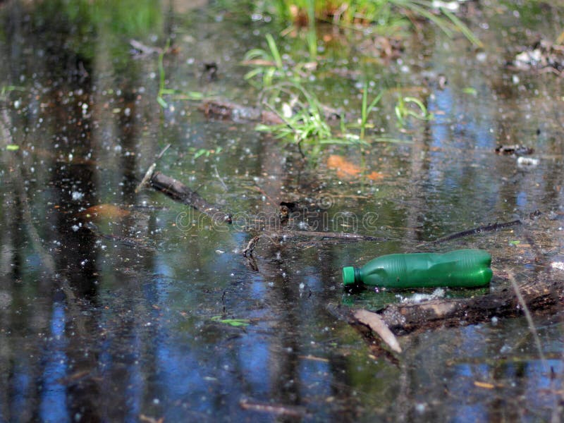 Plastic bottle in a pond stock photo. Image of concept - 148360378