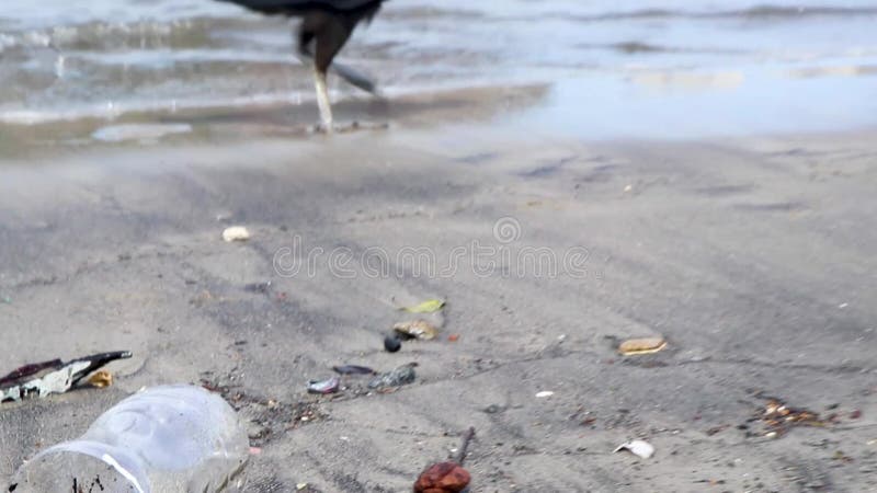Stranded Washed Up Garbage Waste Trash Pollution on Beach Brazil Stock ...