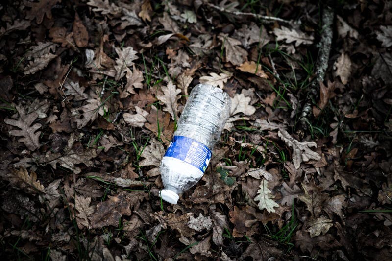 Plastic Bottle Thrown into Nature instead of Recycled Waste Stock Photo ...