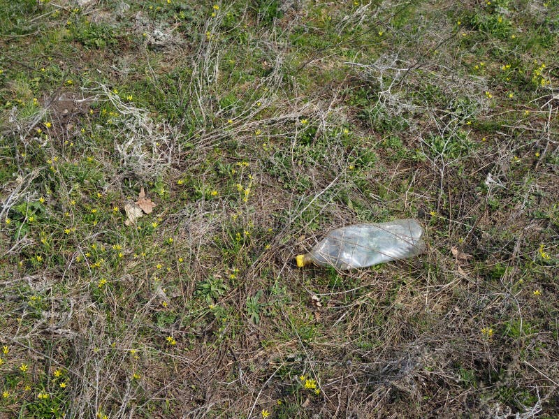 Plastic Bottle Waste in the Forest. Plastic Pollution Concept Stock ...