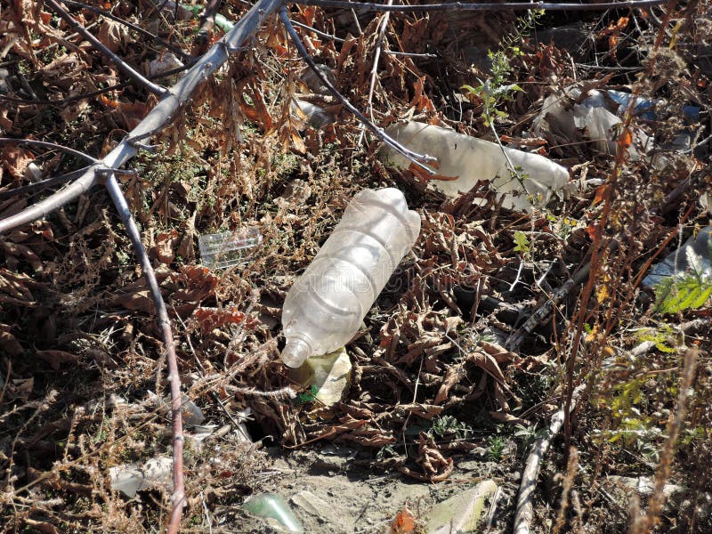 Plastic Bottle Waste in the Nature. Plastic Pollution Concept Stock ...