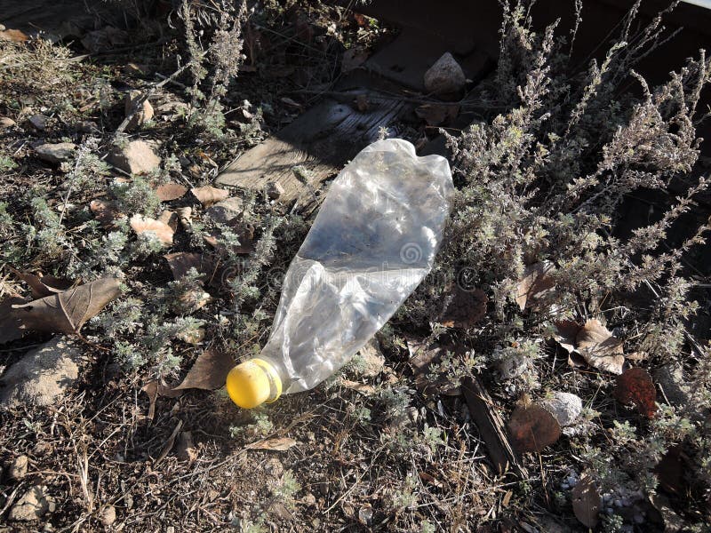 Plastic Bottle Waste in the Nature. Plastic Pollution Concept Stock ...
