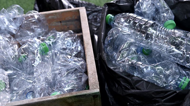Plastic Bottle for Waste Separation and Recycle. World Environment Day ...