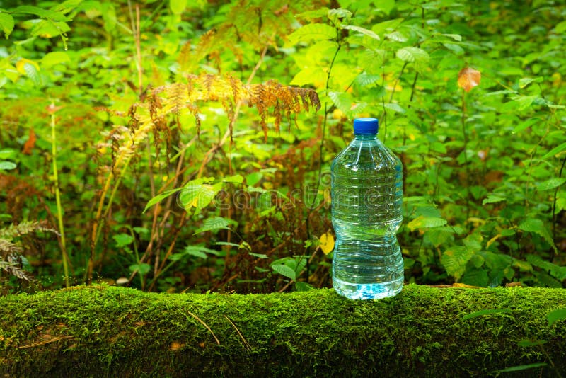 Plastic Bottle with Water in the Forest Stock Photo - Image of ...