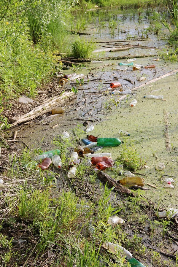 Plastic Bottles of Beer and Lemonade Thrown into the Pond. Garbage ...