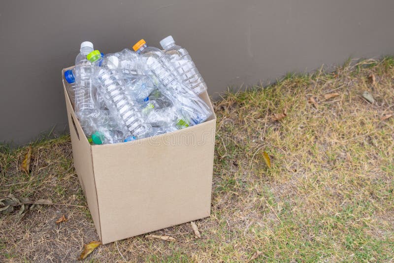 Plastic Bottles in Recycle Garbage Box Stock Photo - Image of ...