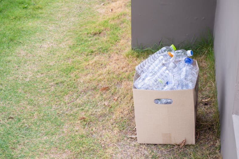 Plastic Bottles in Recycle Garbage Box Stock Photo - Image of plastic ...
