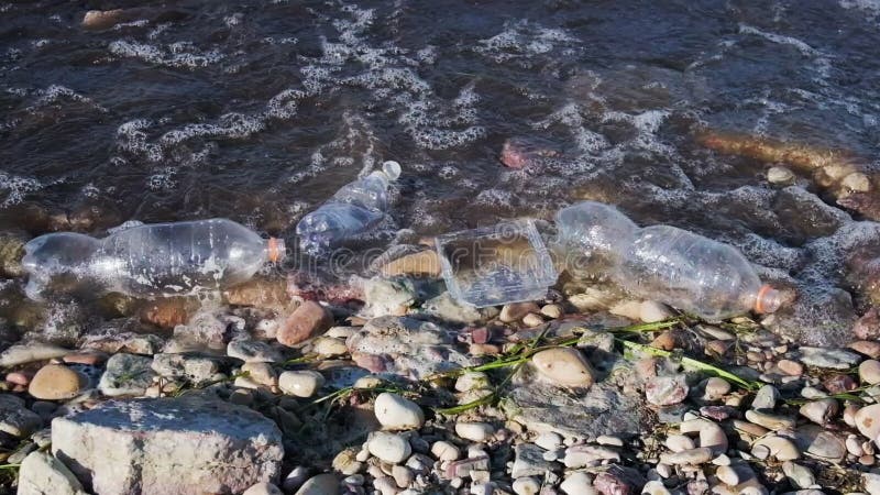 Plastic Bottle Float in the Water on the Shore of the Lake. Pollution ...