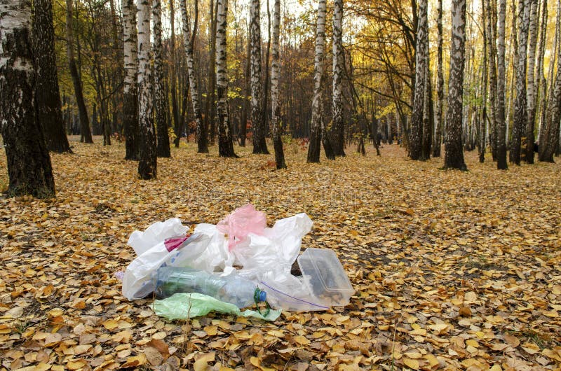 Plastic Bottles and Garbage Left in Autumn Forest.Pollution of Nature ...