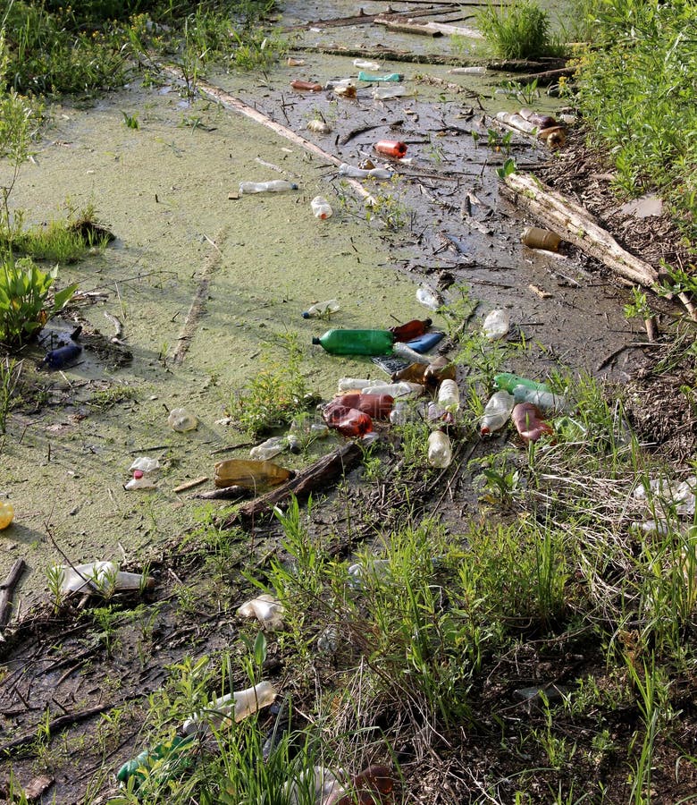 Plastic Bottles Thrown into the Swamp. Garbage, Waste, Environmental ...