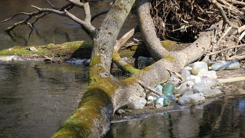 Plastic Bottles and Garbage on the River Stock Footage - Video of ...