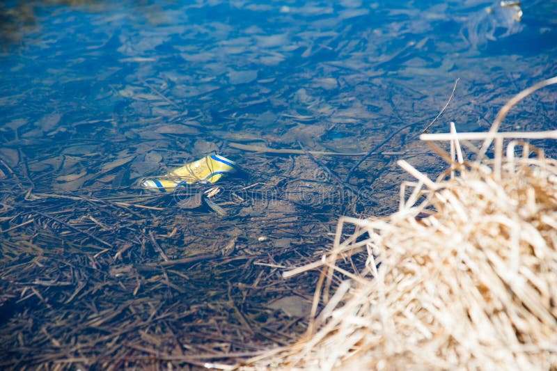 Garbage Waste on the Shore of a River Stock Photo - Image of plastic ...