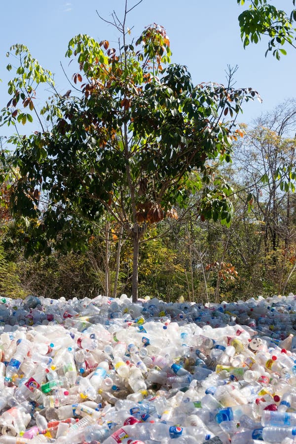 Plastic Bottles in the Nature Editorial Photography - Image of ...