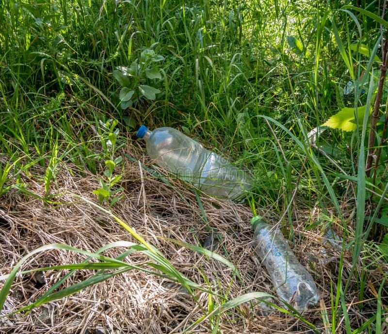 Plastic Bottles PET on the Grass. Pollution of Nature by Human ...