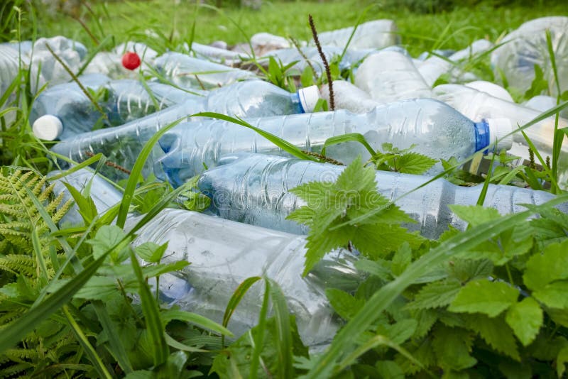 Plastic Bottles are Scattered in the Grass. Environmental Pollution ...