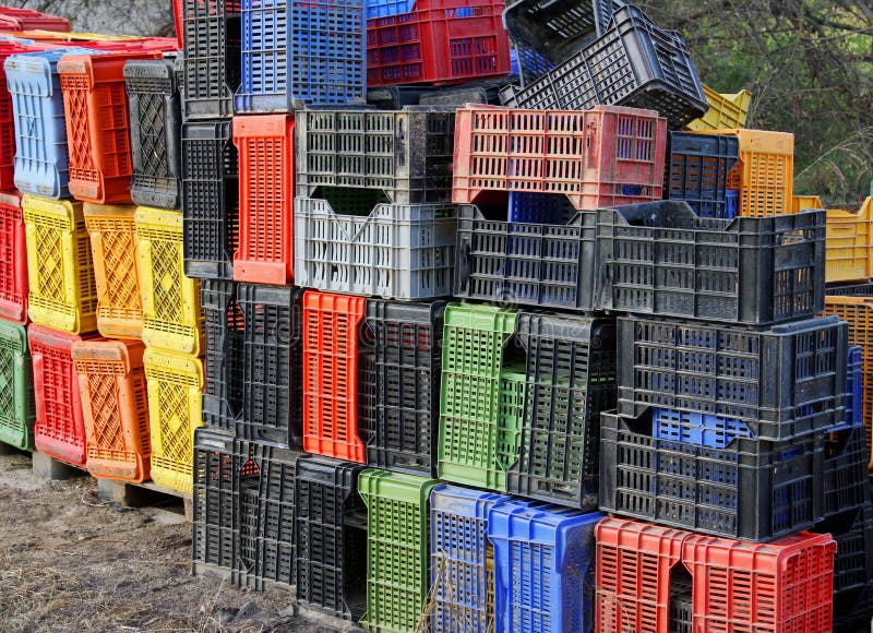 Plastic Box for Collecting Fruits and Grapes on the Farm Stock Image ...