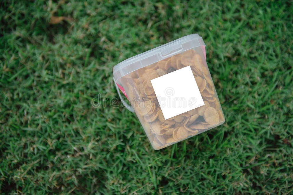 Plastic Box of Cornflakes on the Grass Field. Stock Photo - Image of ...