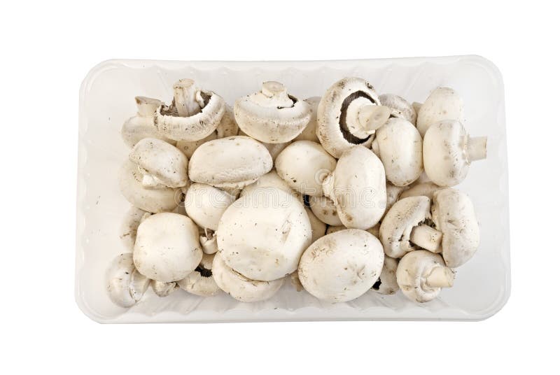 Plastic Box Full with Fresh Mushrooms Stock Image - Image of closeup ...