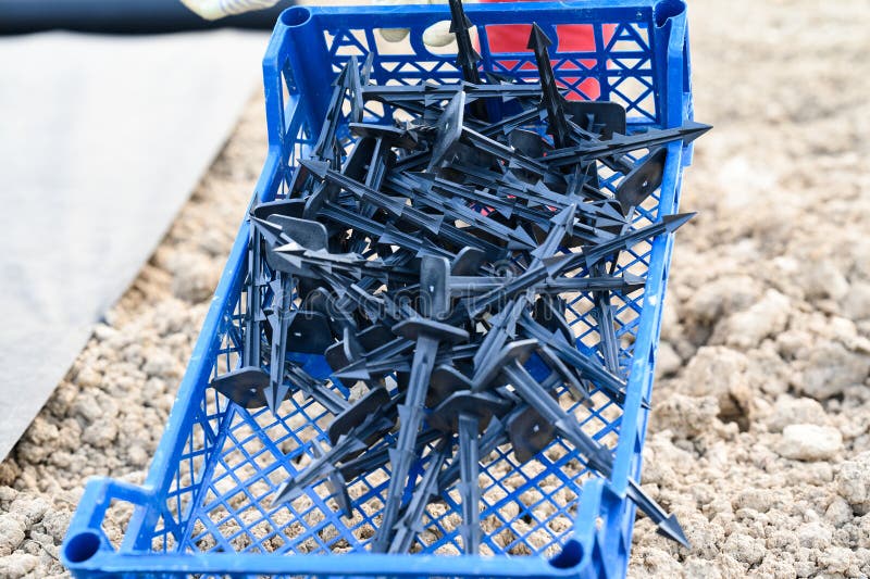 Plastic Box with Plastic Pegs for Agrofibre. Stock Photo - Image of ...