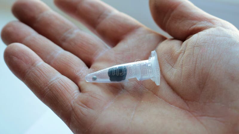 Plastic Box for Sending Seeds on a Person S Hand Stock Photo - Image of ...