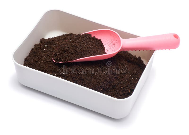 Plastic Box with Substrate Soil for Transplanting Houseplants Isolated ...