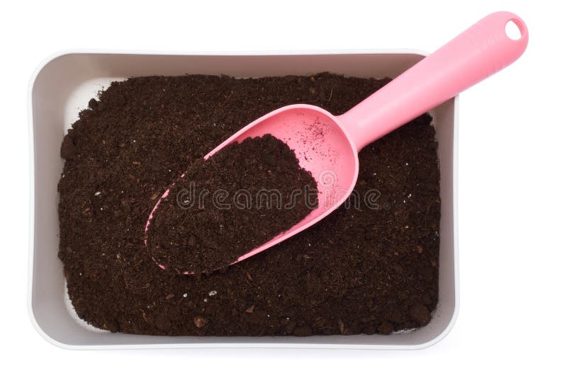 Plastic Box with Substrate Soil for Transplanting Houseplants Isolated ...