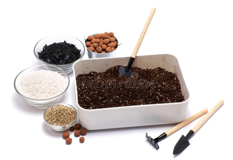 Plastic Box with Substrate Soil for Transplanting Houseplants Isolated ...