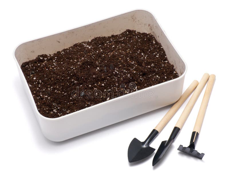 Plastic Box with Substrate Soil for Transplanting Houseplants Isolated ...