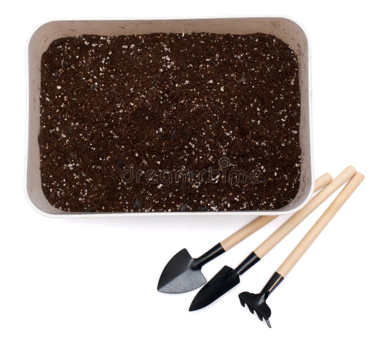 Plastic Box with Substrate Soil for Transplanting Houseplants Isolated ...