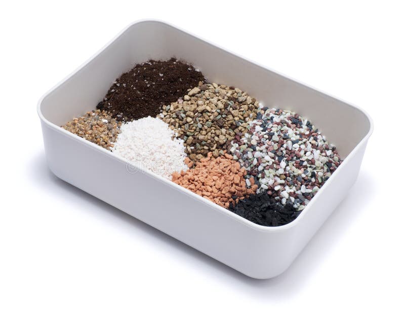 Plastic Box with Substrate Soil for Transplanting Houseplants Isolated ...