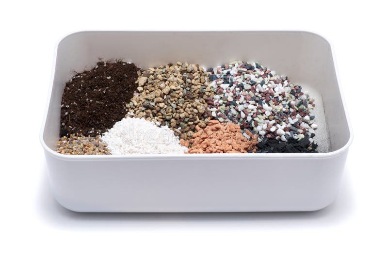 Plastic Box with Substrate Soil for Transplanting Houseplants Isolated ...