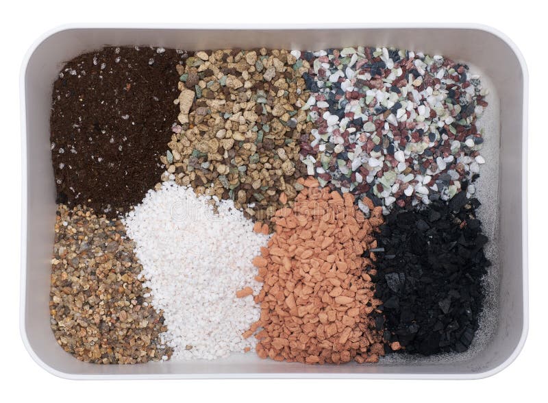 Plastic Box with Substrate Soil for Transplanting Houseplants Isolated ...