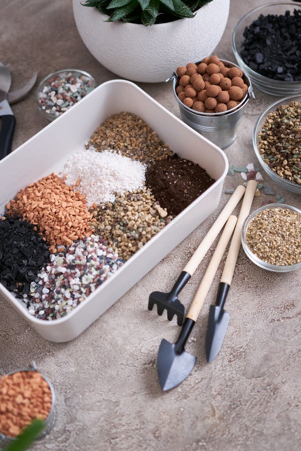 Plastic Box for Soil Substrate Preparation for Transplanting ...